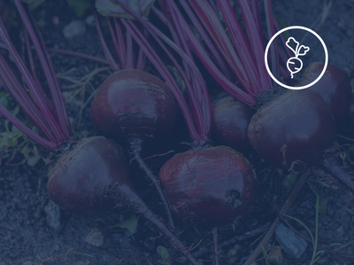 Clean Energy Black Cherry Cream – bobeloshop