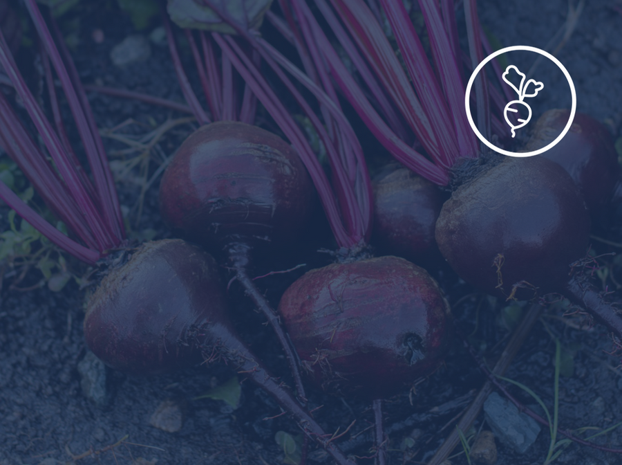 Clean Energy Black Cherry Cream – bobeloshop